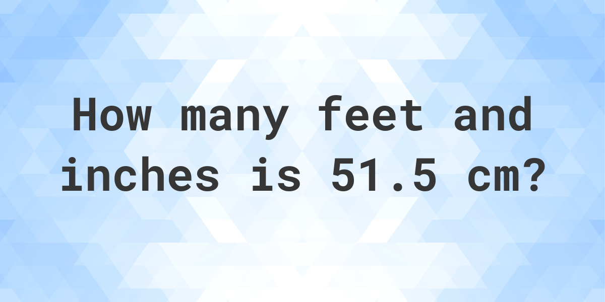 What is 51.5 cm in feet and inches? - Calculatio