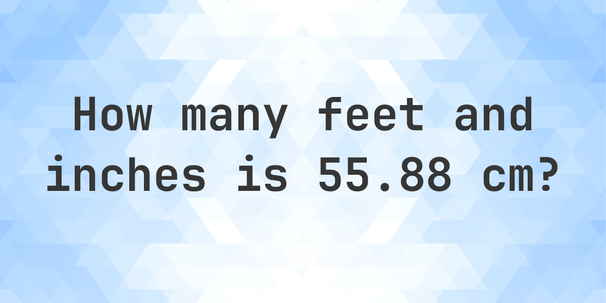 What is 55.88 cm in feet and inches? - Calculatio