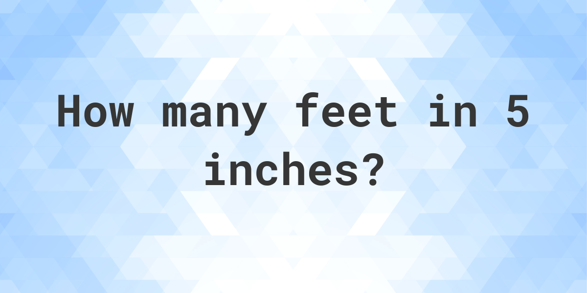 5 inches in feet - Calculatio