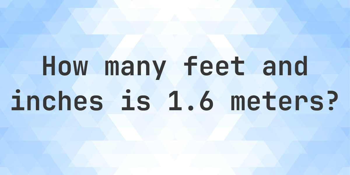 1 6 Meters To Feet And Inches Calculatio