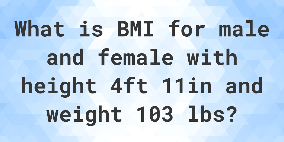 What is 4'11" and 103 lbs BMI? - Calculatio