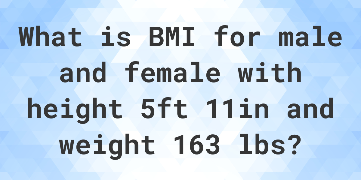 What is 5'11" and 163 lbs BMI? - Calculatio