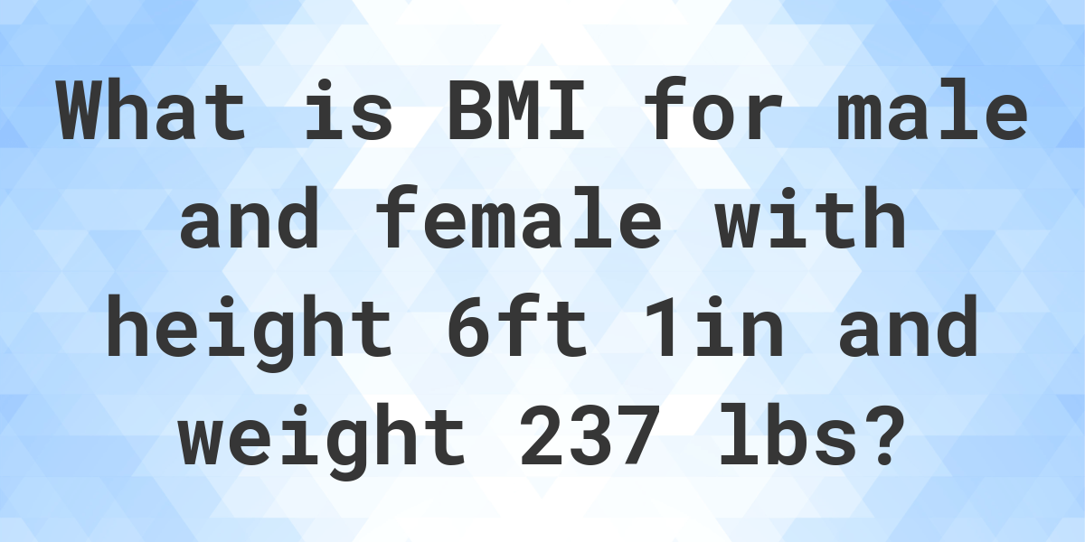 What is 6'1" and 237 lbs BMI? - Calculatio